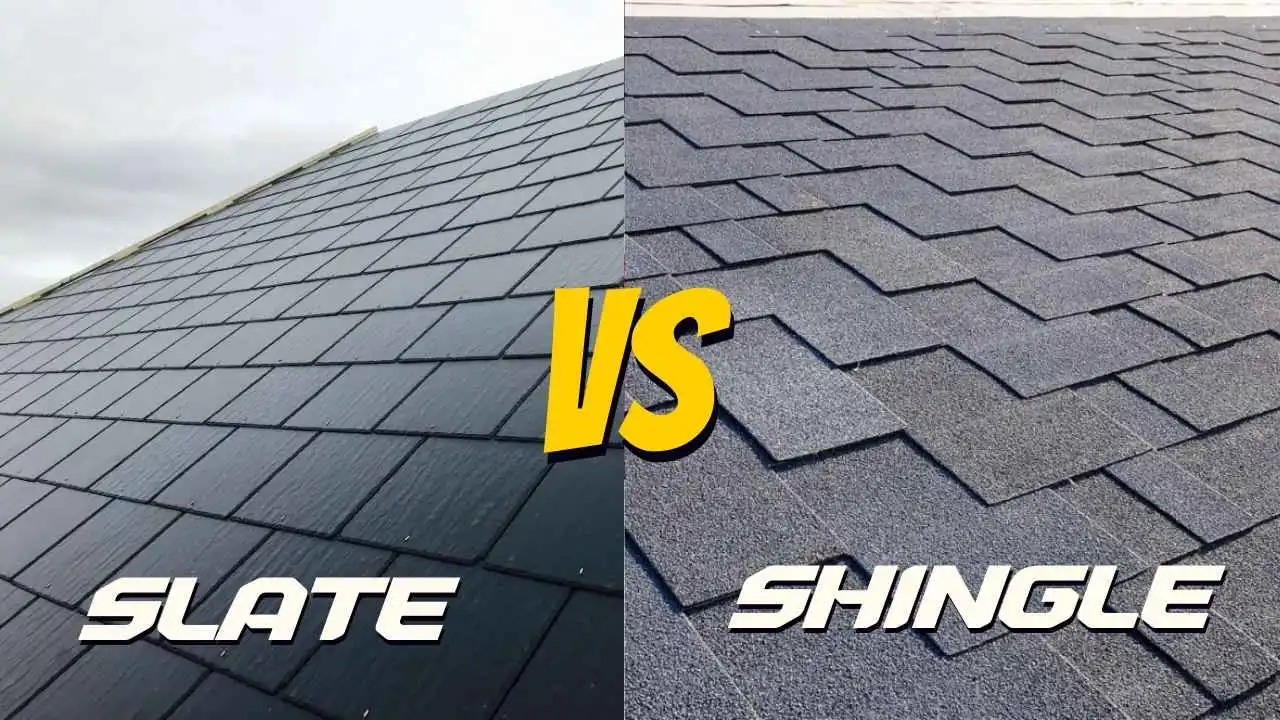 Slate Roof Vs Shingle – Which Is Right For Your Home?