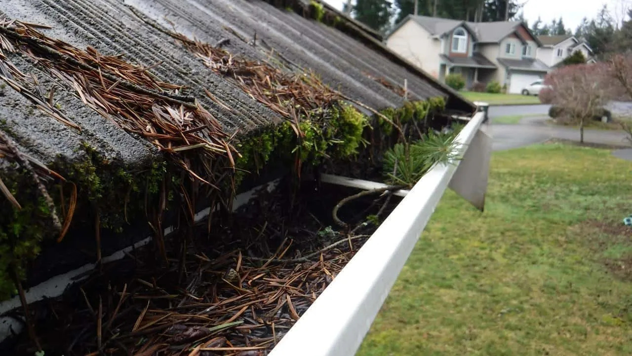 Why Gutter Guards Are Bad?