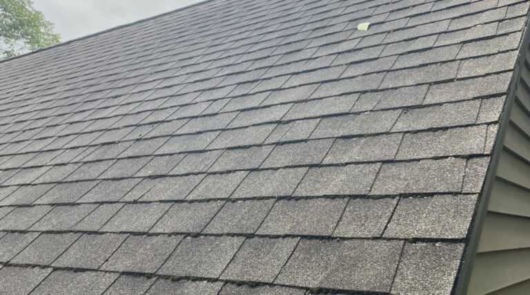 Best Asphalt Shingle Roofing Services Toledo, Oh